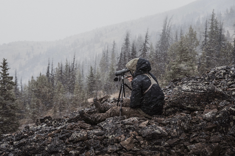 Vortex Razor UHD 10x50 Binoculars - Optics Trade Blog